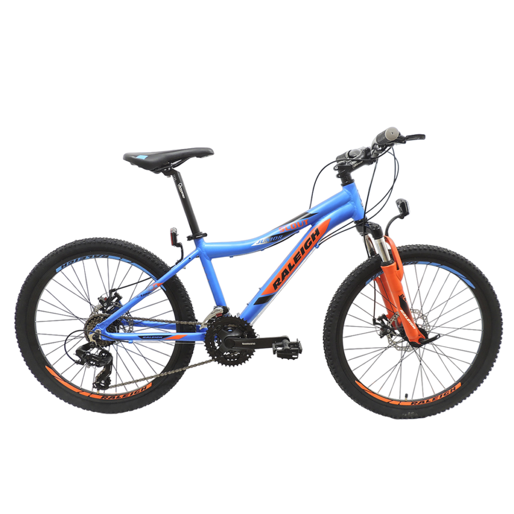 Raleigh Scout R24 - Goldenbike
